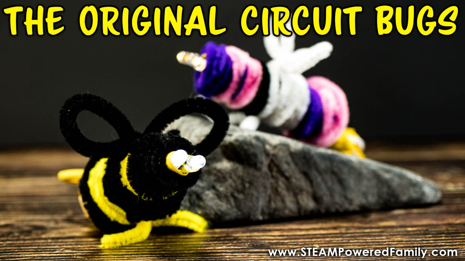 STEM Activities for Kids that Love Bugs