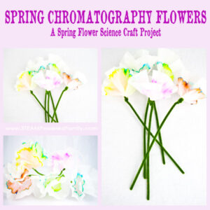 Spring Flowers Chromatography Project
