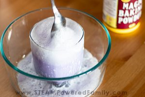 Baking Soda vs Baking Powder Science Experiment