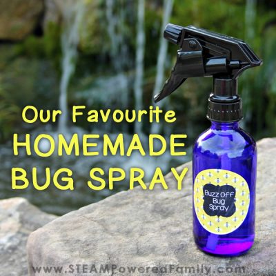 Our Favourite Homemade Bug Spray for Kids