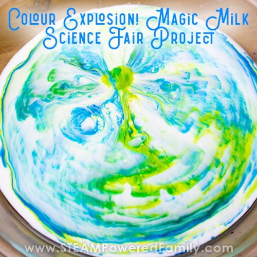 Color Explosion Magic Milk Experiment and Science Fair Project