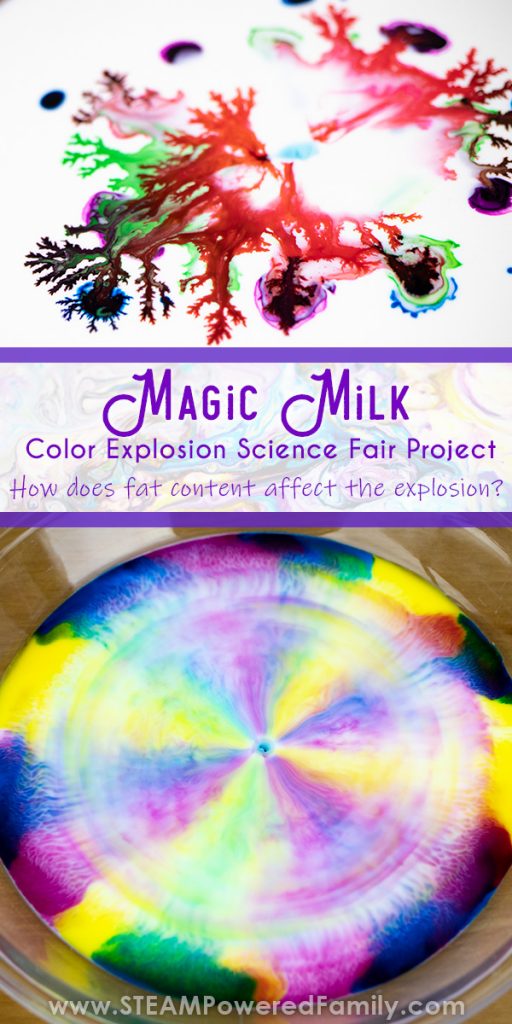 Color Explosion Magic Milk Experiment and Science Fair Project