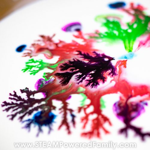 Color Explosion Magic Milk Experiment and Science Fair Project