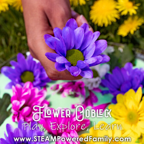 Sunflower STEAM Activity with Homemade Playdough