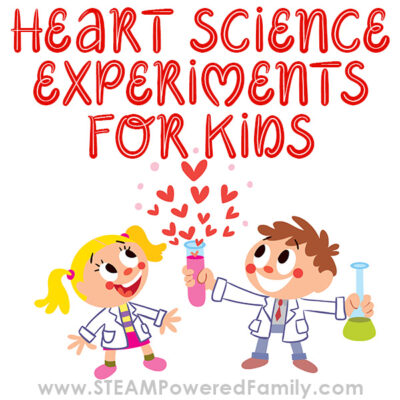 Heart Science Experiments To Inspire A Love Of Learning