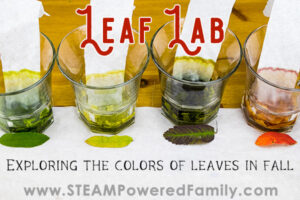 Leaf Lab - Why Do Leaves Change Color? Science Experiment