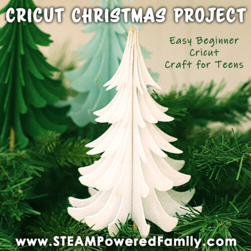 Cricut Christmas Project - 3D Christmas Tree