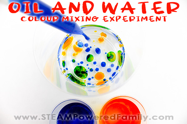 Oil and Water Experiment - Why Don't Oil and Water Mix?