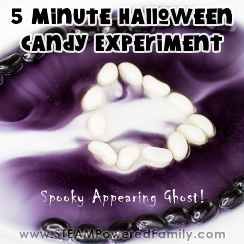 Halloween Skittles Experiment - Use Halloween Candy To Learn Science!
