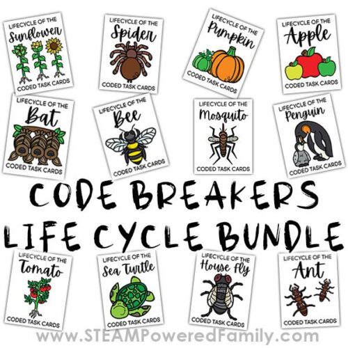 Brilliant Butterfly Life Cycle Activity for Kids - STEM Project for Kids