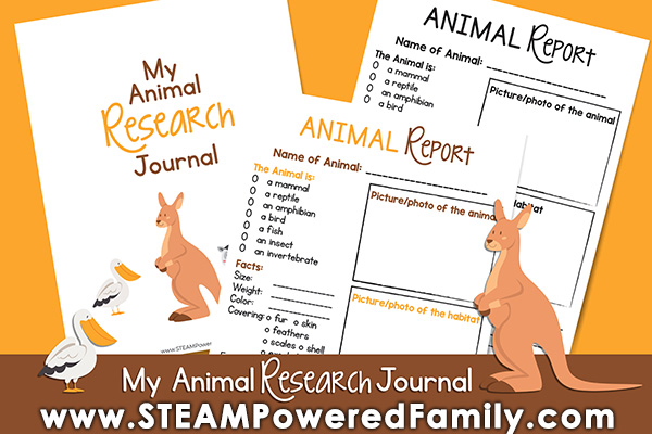 Animal Research Journal - Perfect for Early Elementary Sciences