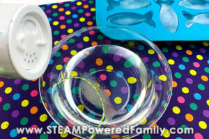 Ice Fishing Science Experiment for Kids