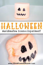 Halloween Marshmallow Science Experiment