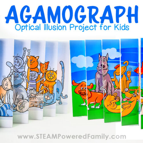 Agamograph Optical Illusion Project