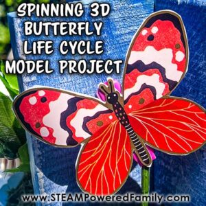 Brilliant Butterfly Life Cycle Activity for Kids - STEM Project for Kids