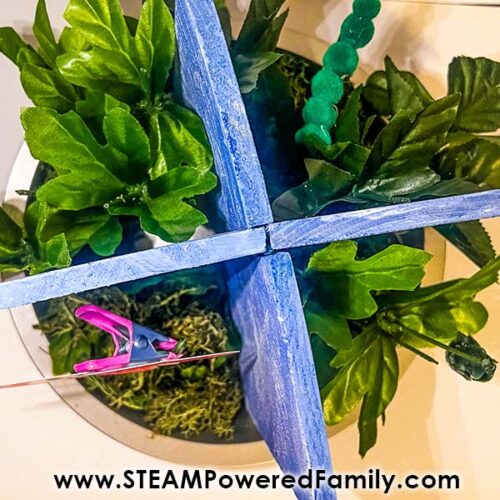 Brilliant Butterfly Life Cycle Activity for Kids - STEM Project for Kids