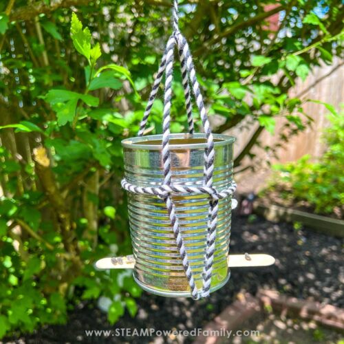 Bird Feeder STEM Project for Kids - Summer Fun Learning