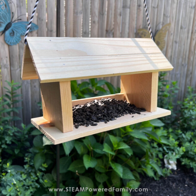 Bird Feeder STEM Project for Kids - Summer Fun Learning