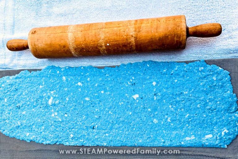 How to Make Paper - A Recycling Craft for Kids