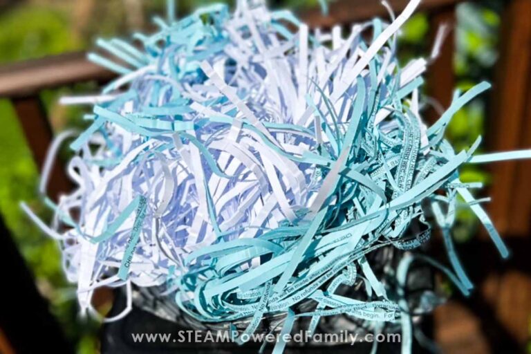 How to Make Paper - A Recycling Craft for Kids