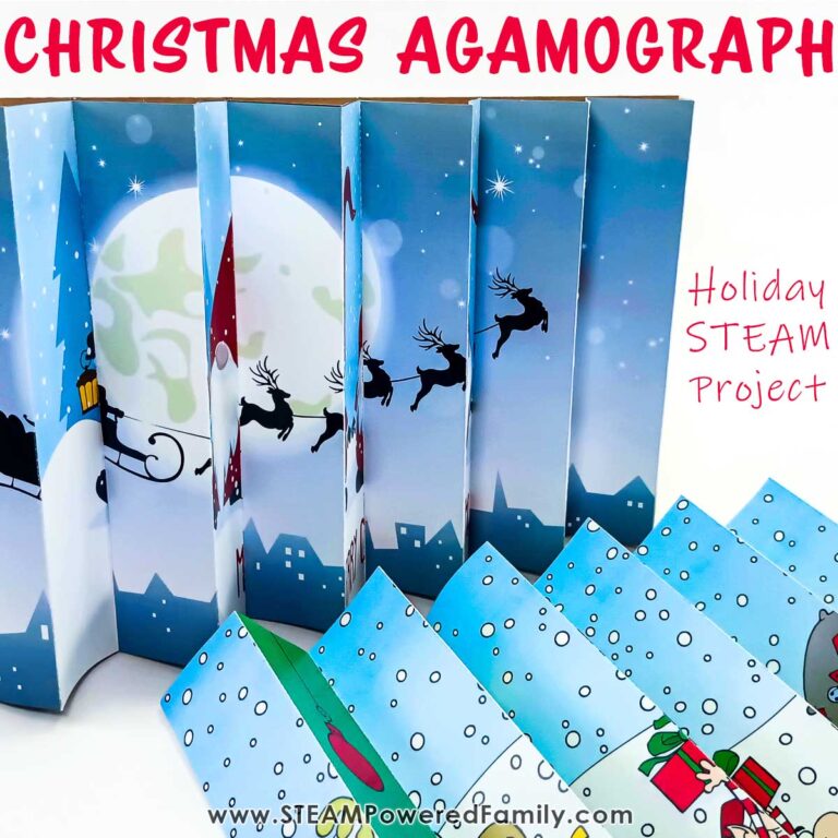 Christmas Agamograph STEAM Project