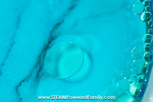 Easy Science Fair Oil Spill Cleanup Experiment