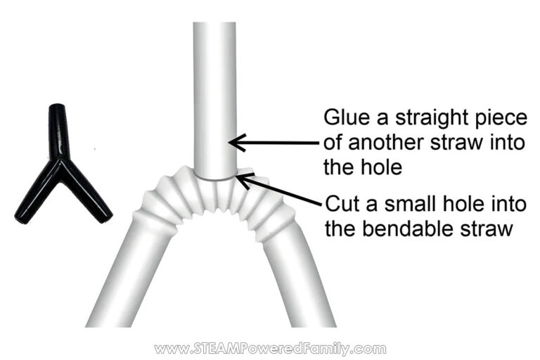 Build a Lung Model and Learn How Lungs Work - Science Fair Idea