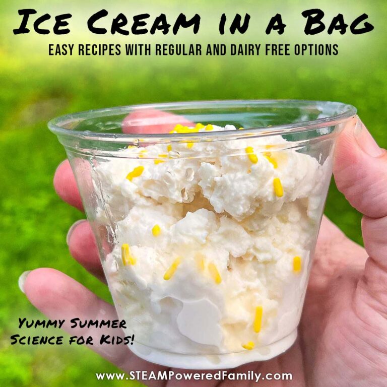 How to Make Ice Cream in a Bag - Regular and Dairy Free Recipes