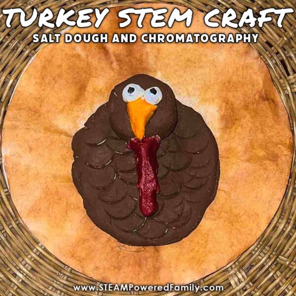 Thanksgiving Turkey Craft using Salt Dough and Chromatography