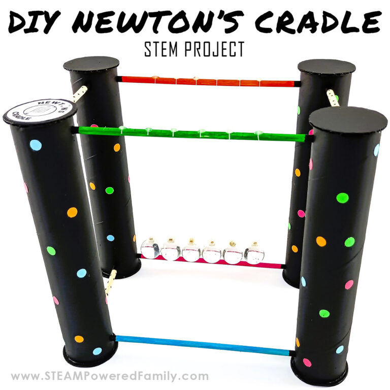 Newton's Cradle STEM Project