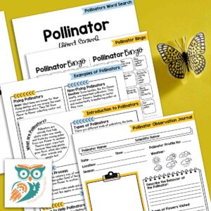 Learning about Pollinators - Lesson and Printable Activity Pack