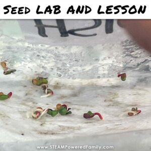 Science Experiments for Kids ~ STEAM Powered Family