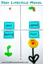 Seed Lab - Seed germination lesson and activity for kids