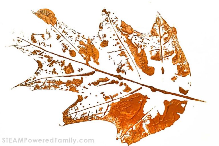 Leaf Art Projects - Hands on Creative Learning