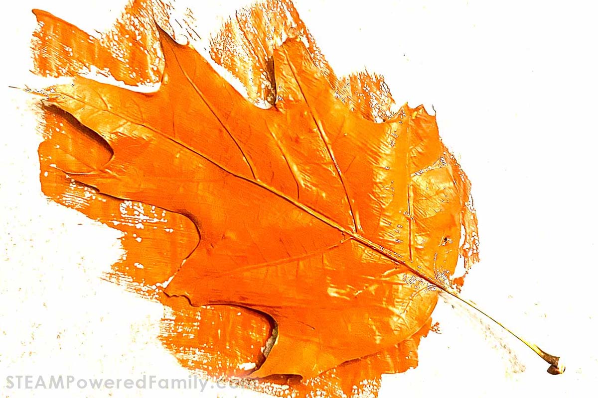 Leaf Art Projects - Hands on Creative Learning