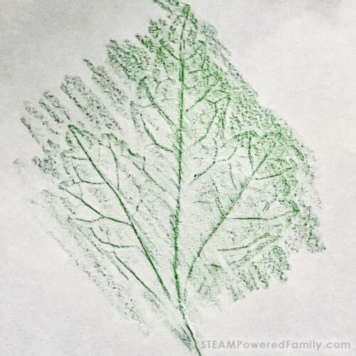 Leaf Art Projects - Hands on Creative Learning