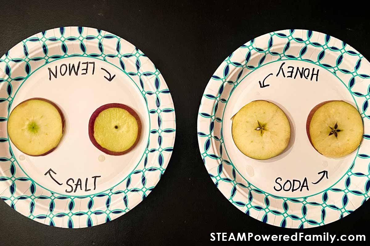 Browning Apples Experiment