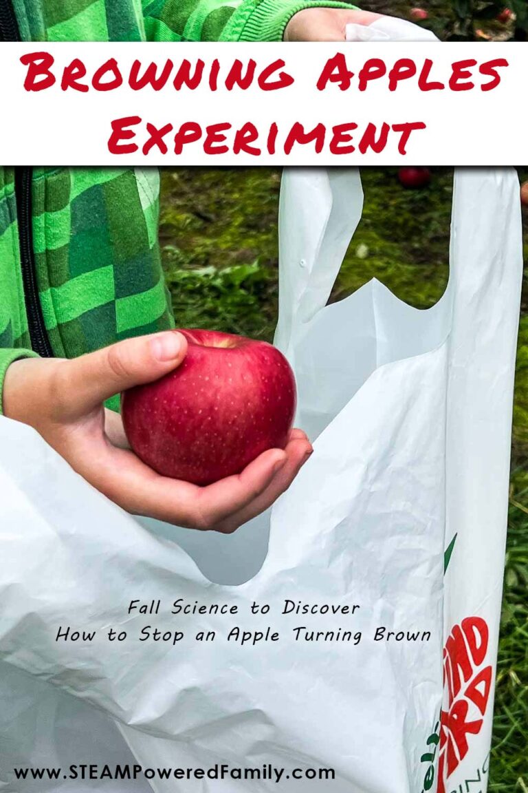 Browning Apples Experiment