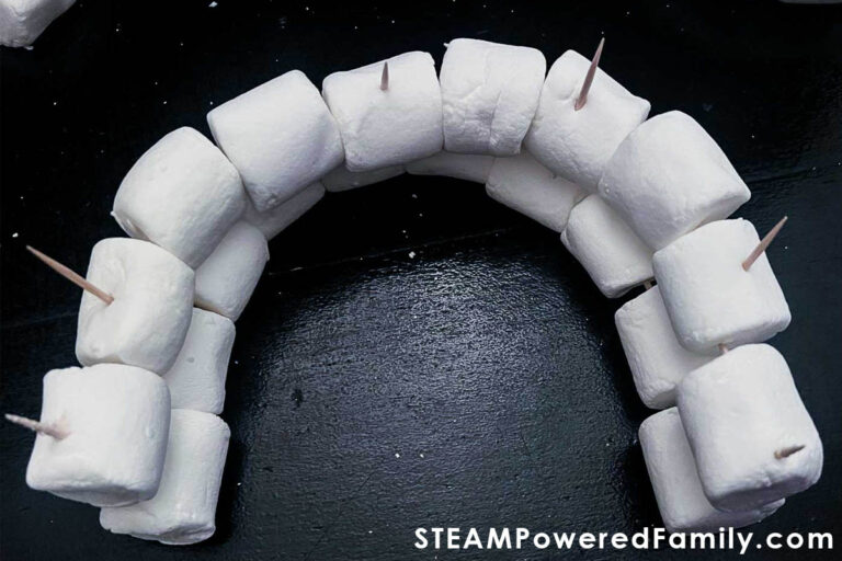 Marshmallow Igloo Engineering Challenge