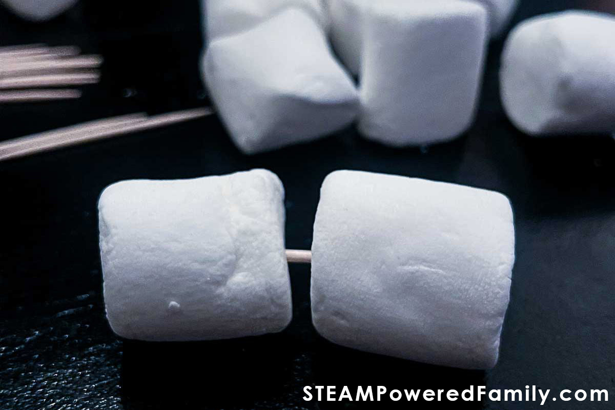 Marshmallow Igloo Engineering Challenge