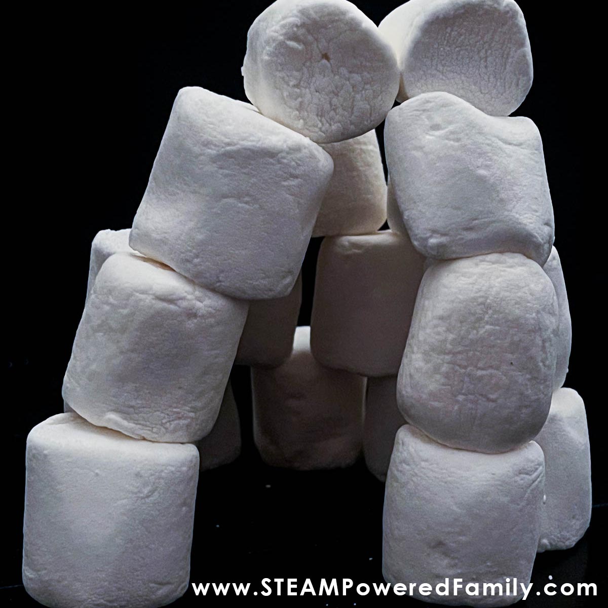 Marshmallow Igloo Engineering Challenge