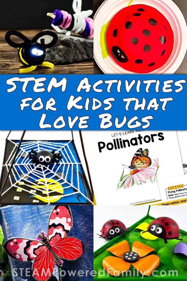 STEM Activities for Kids that Love Bugs