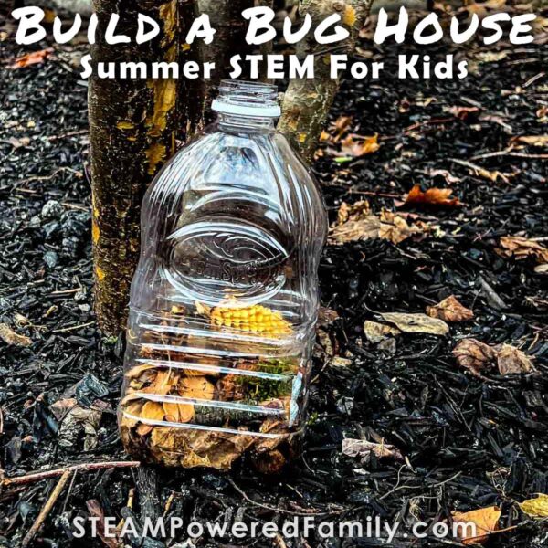 Build a Bug House - Summer STEM