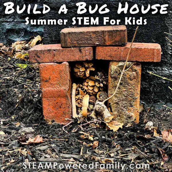 Build a Bug House - Summer STEM