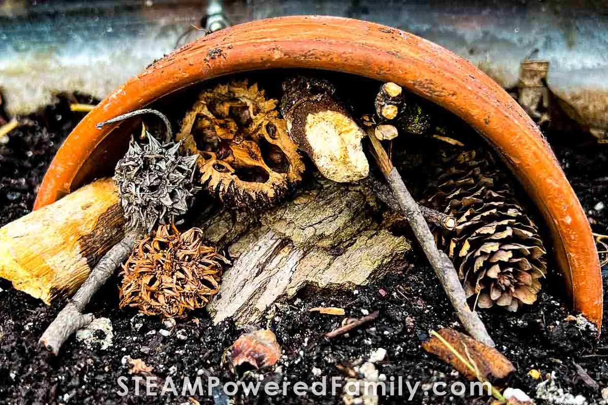 Build a Bug House - Summer STEM