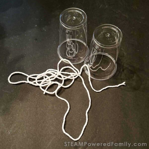 Sensory Science Summer Camp Theme