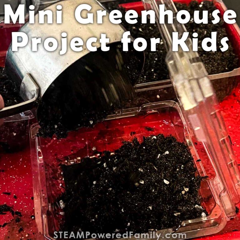 Mini Greenhouse Project for Kids