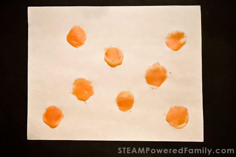 Sensory Science Summer Camp Theme
