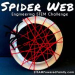 Spider Web Engineering Challenge