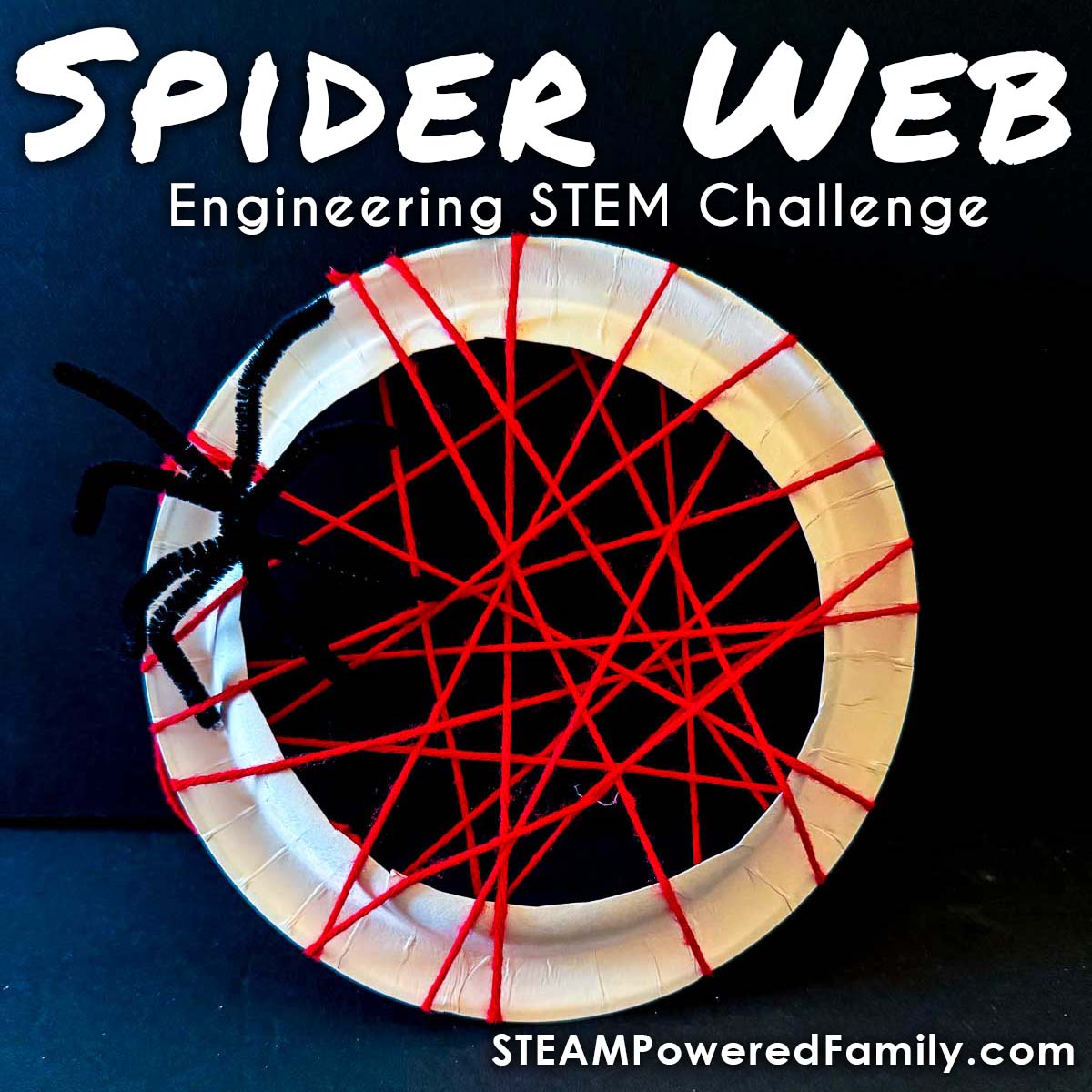 Spider Web Engineering Challenge